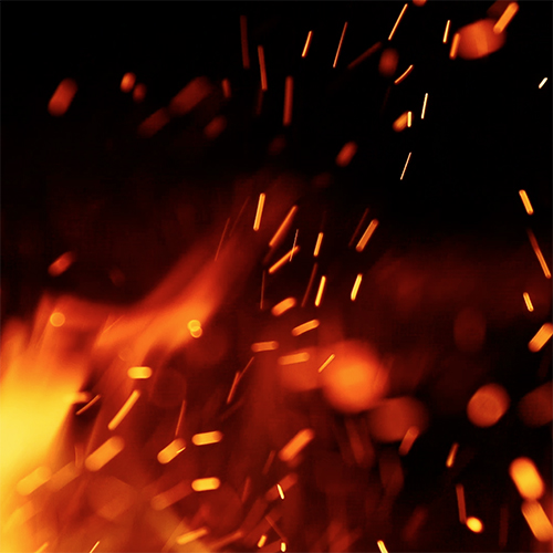 OB launches the first online exhibition for the Insurance Museum